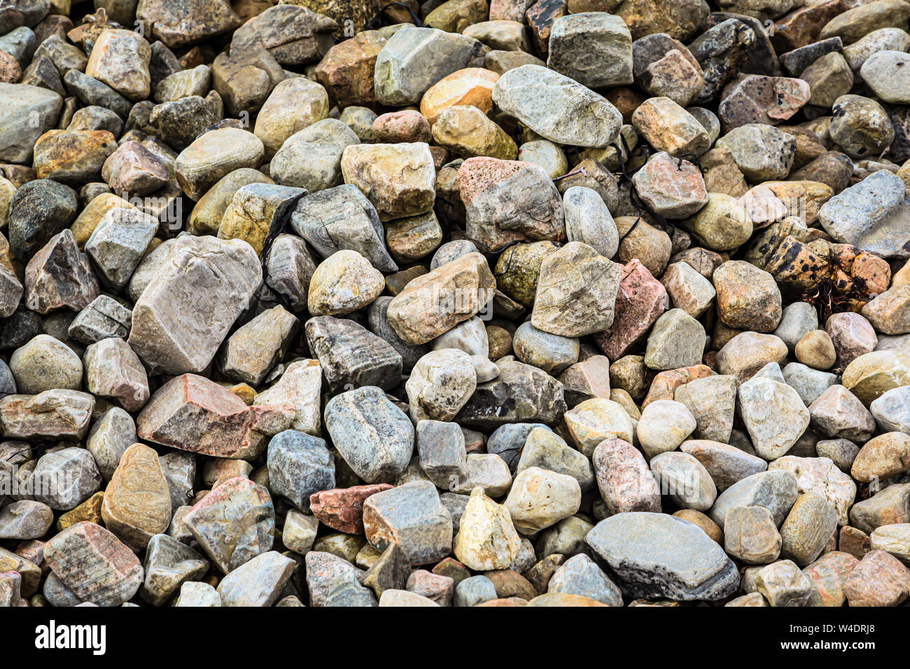 Pebbles and Stones on the Shore of Loch Eil at Blaich near Fort William ...