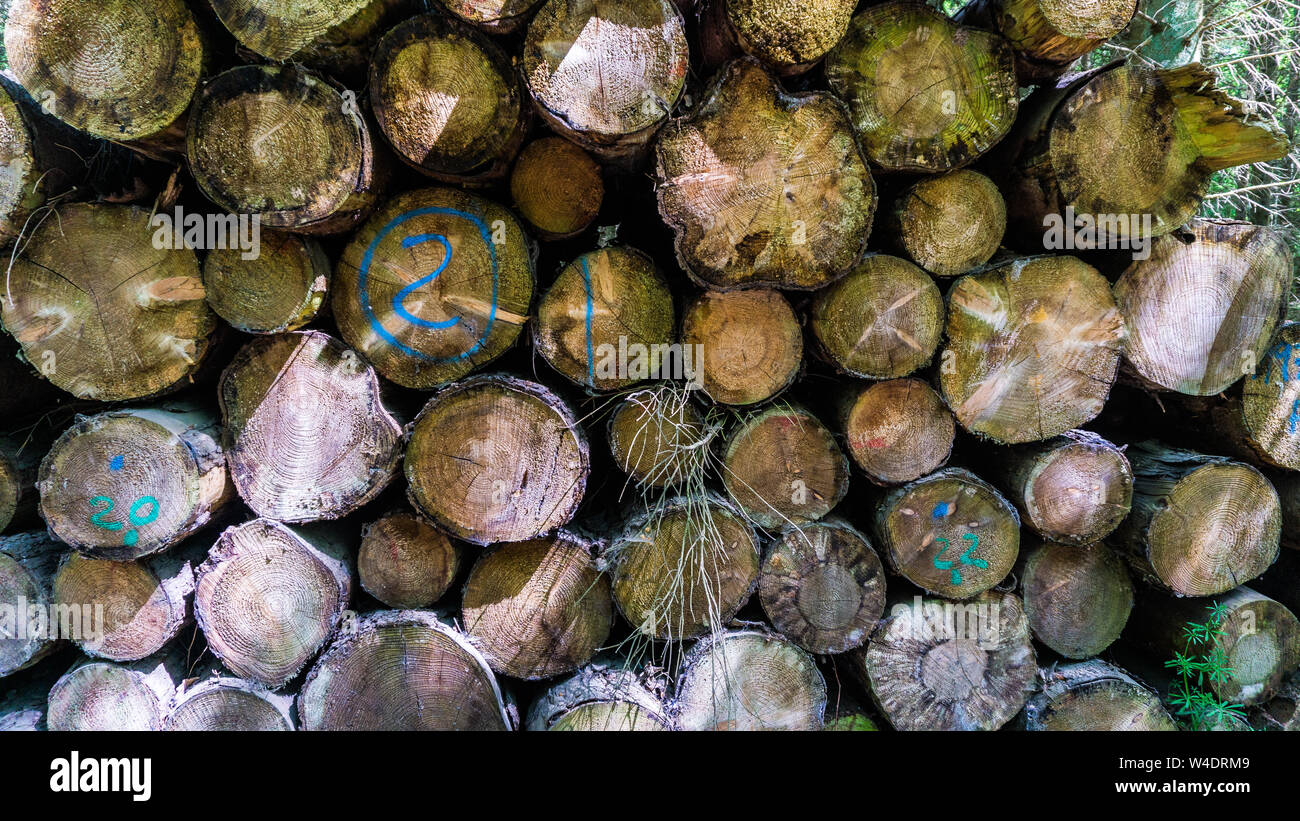 Roundwood hi-res stock photography and images - Alamy