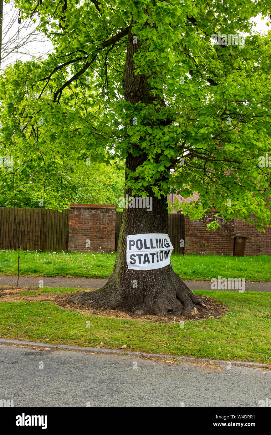 Polling station sign on tree UK Stock Photo - Alamy
