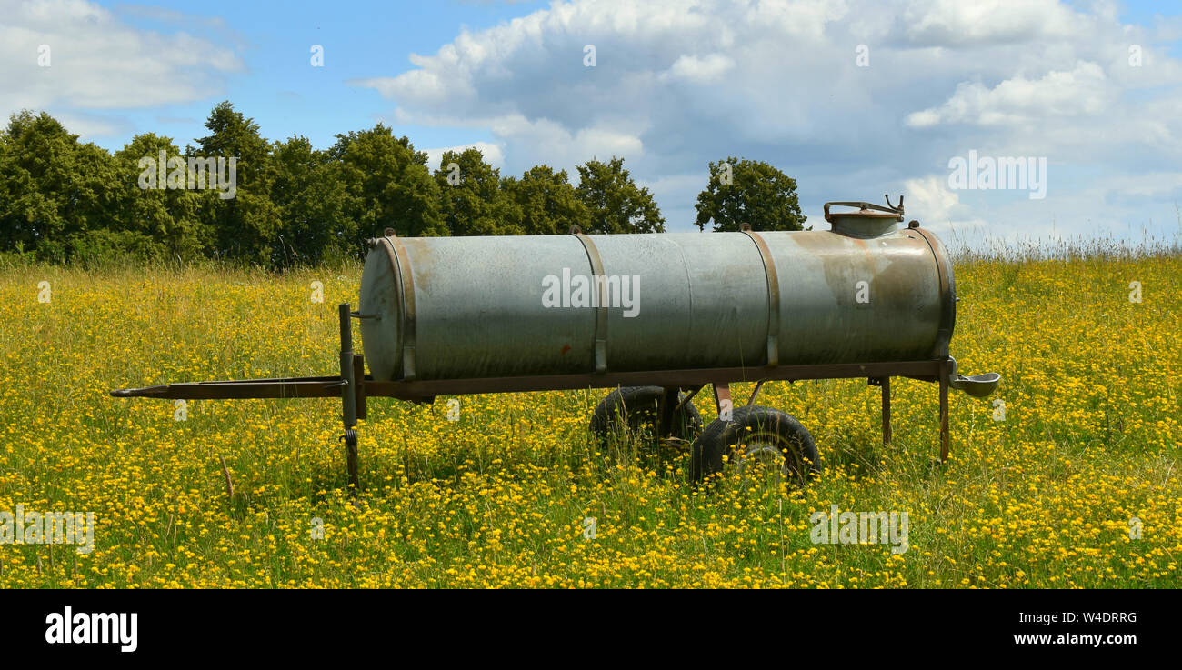 Water tank, field with yellow flowers, pasture Stock Photo - Alamy