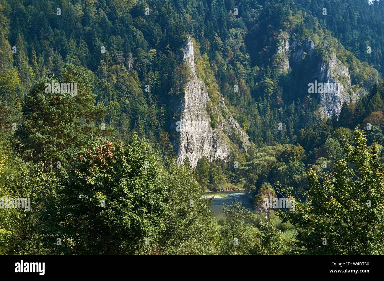 Beautiful panoramic view of the Pieniny National Park, Poland, in sunny ...