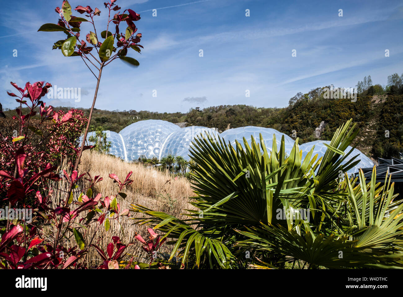 The Eden project Biodomes ,Cornwall Stock Photo - Alamy