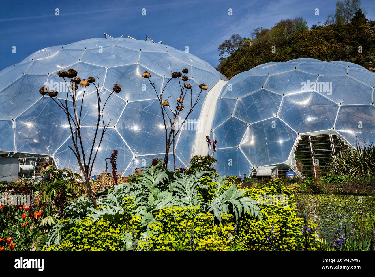 Biodomes eden project hi-res stock photography and images - Alamy