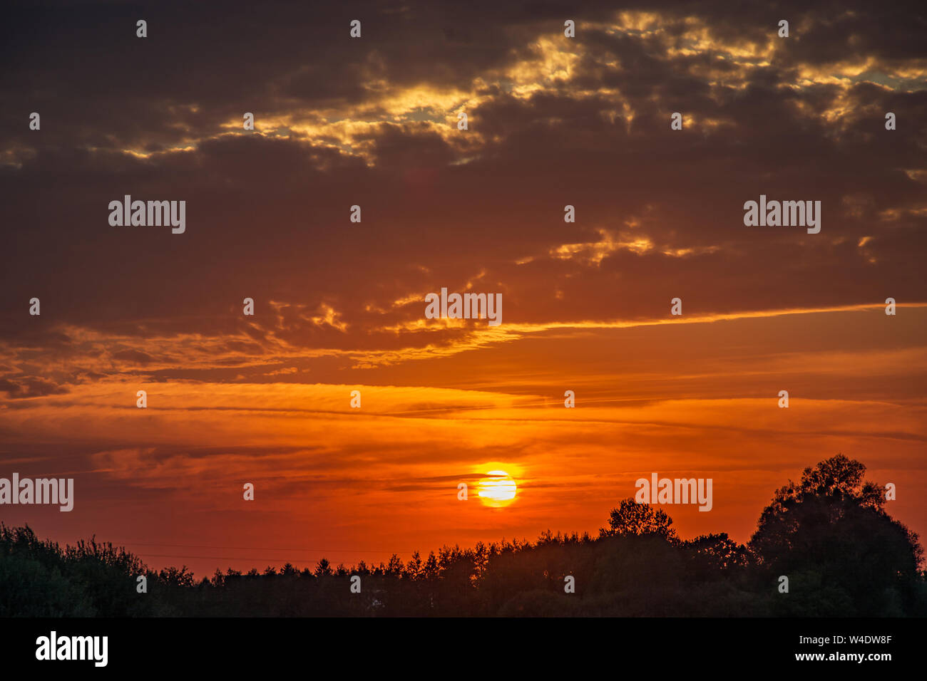 Setting sun with blue sky and dark trees hi-res stock photography and ...