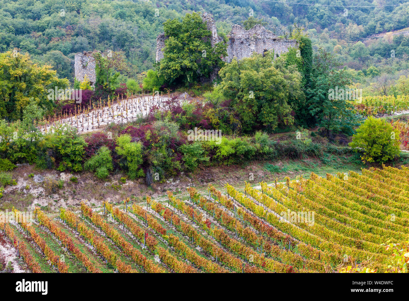 Rhona hi-res stock photography and images - Alamy