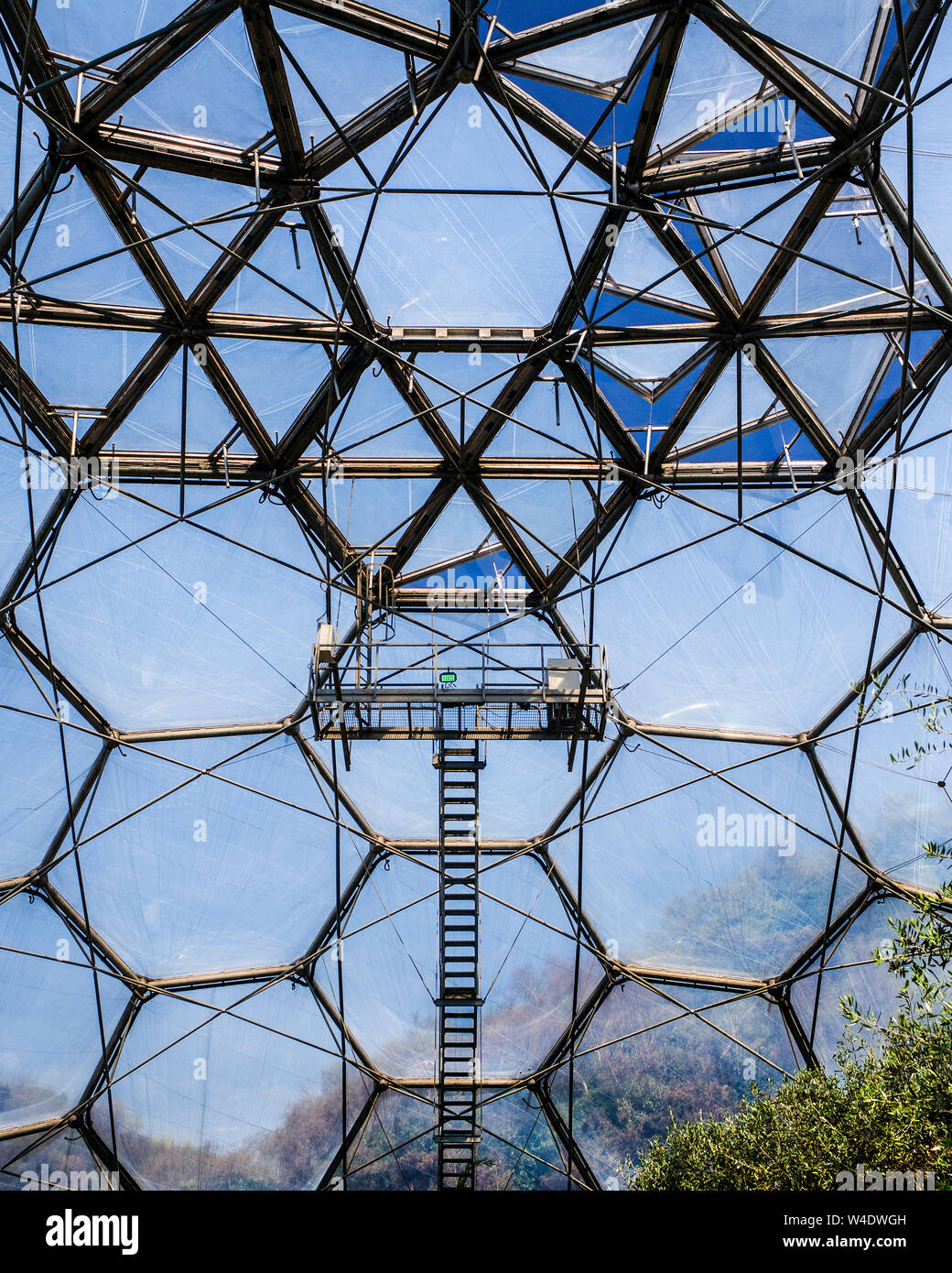 The Eden project Biodomes ,Cornwall Stock Photo - Alamy