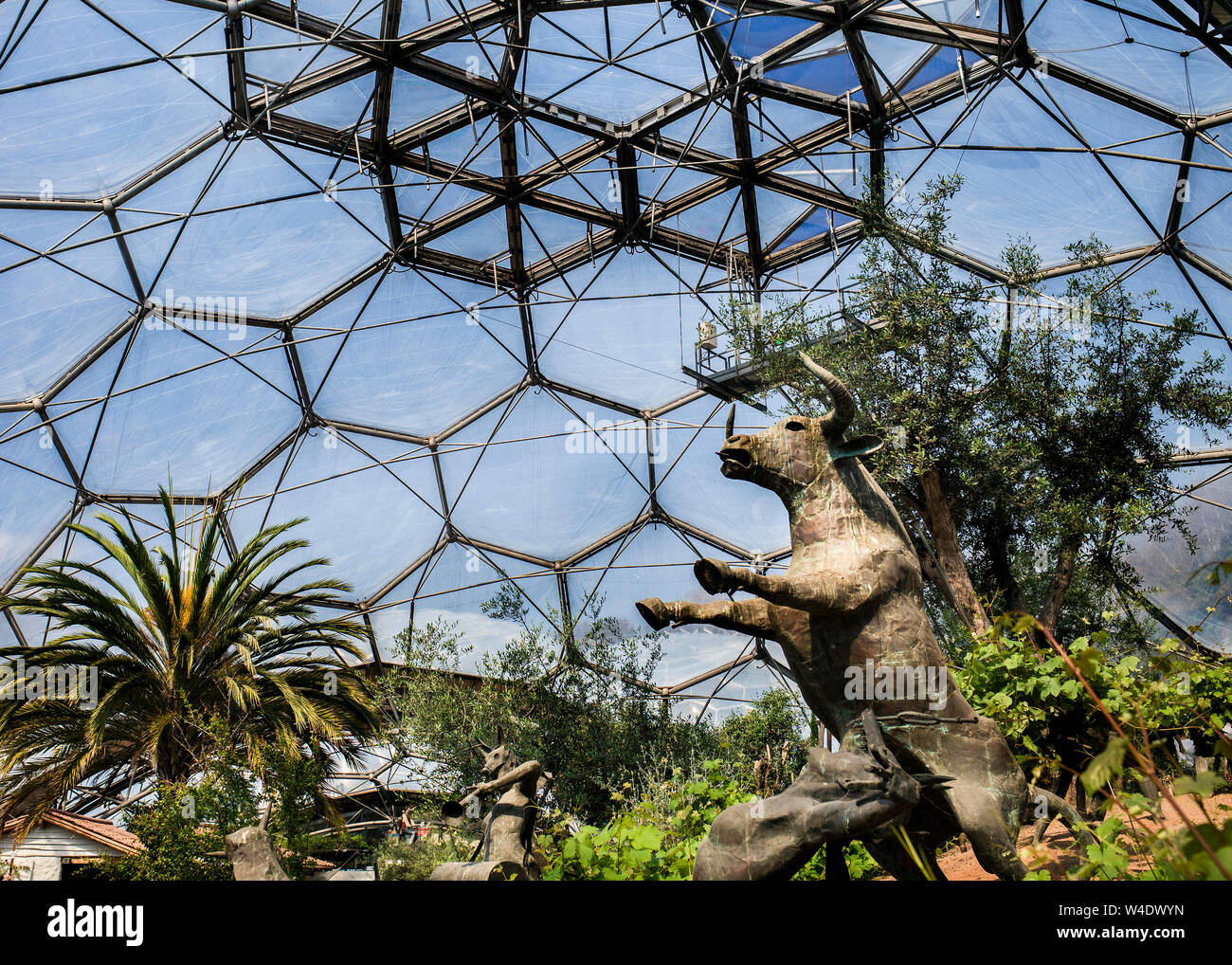 The Eden project Biodomes ,Cornwall Stock Photo - Alamy