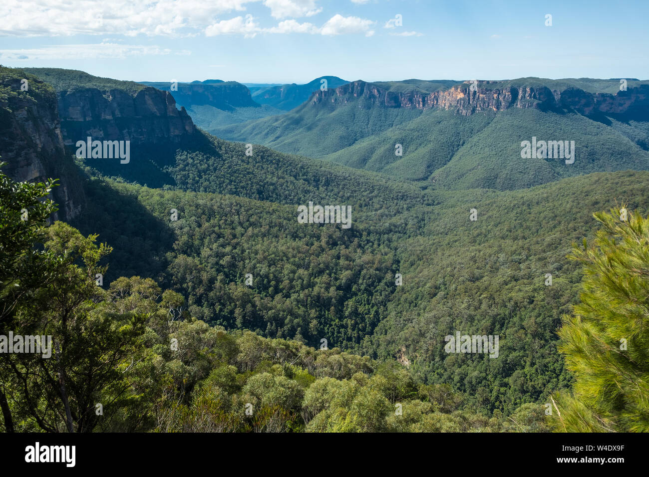 Lush slopes of Australia's Blue Mountains as seen from Govetts, Leap ...