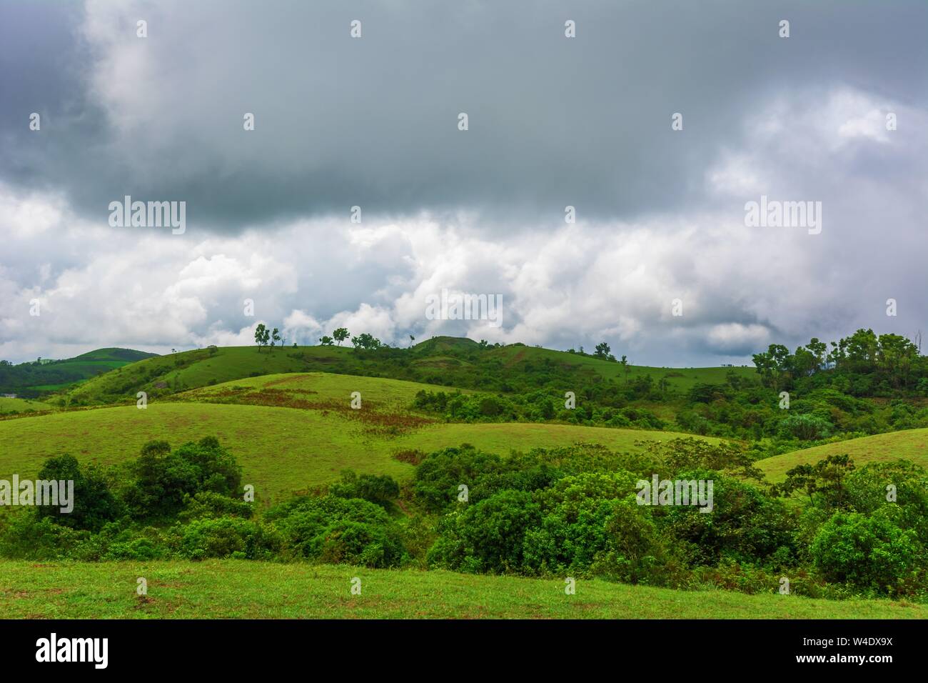 Green meadows vagamon hi-res stock photography and images - Alamy