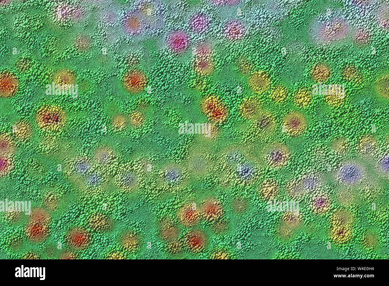 Microbiota High Resolution Stock Photography and Images - Alamy