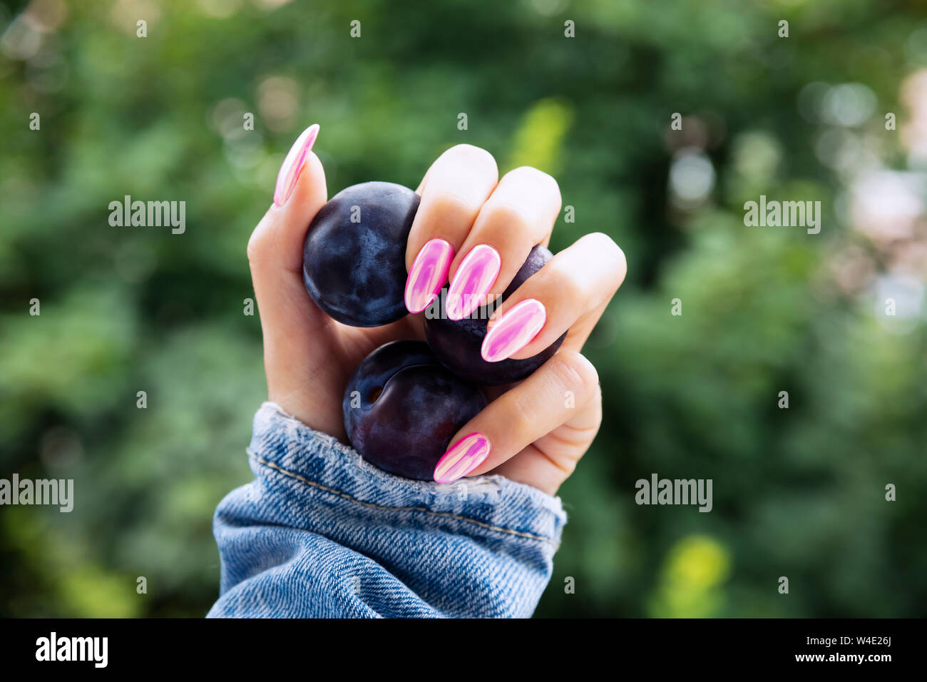 Female hand juicy plums hi-res stock photography and images - Alamy