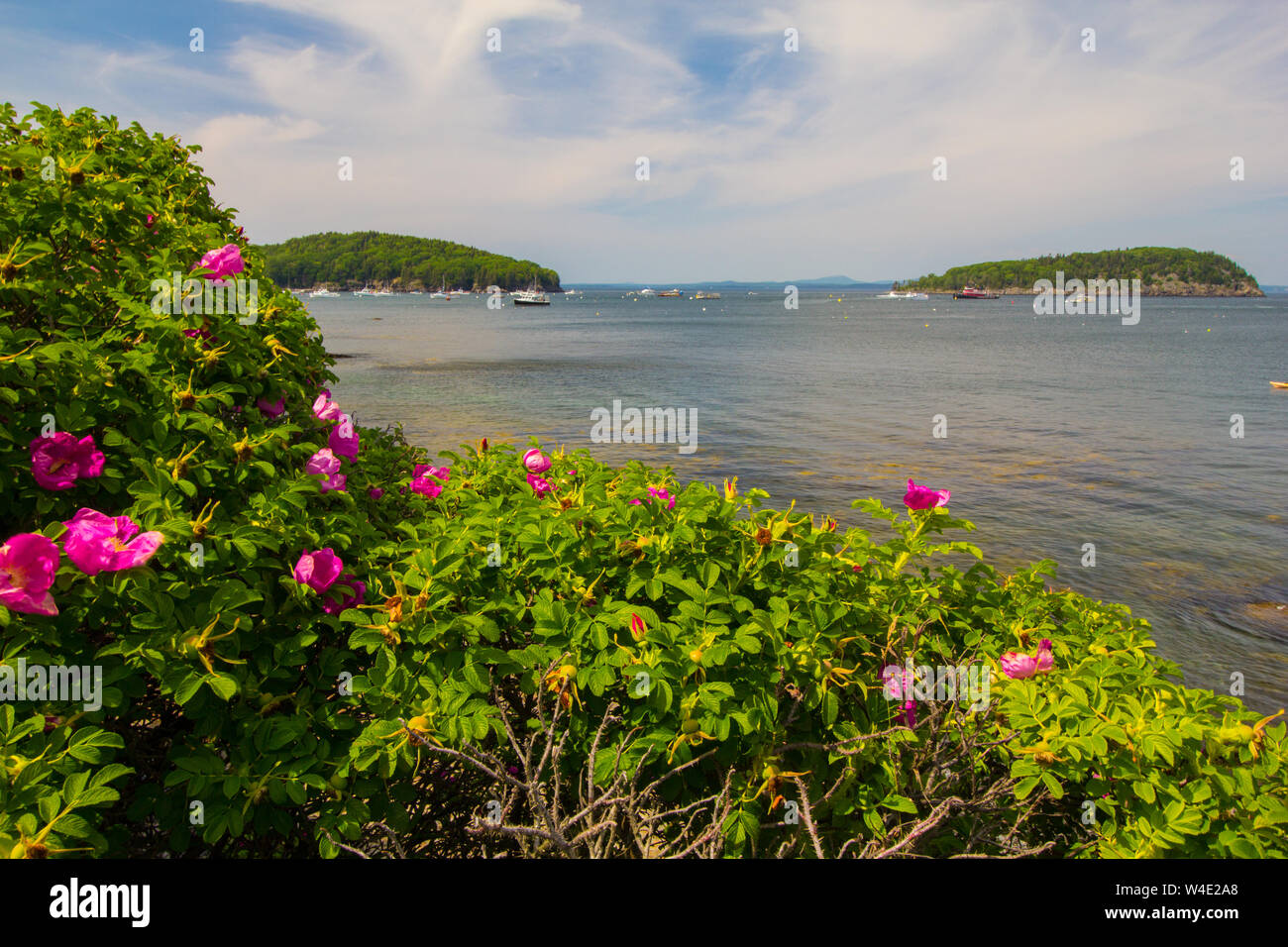 View From Shore Path, Bar Harbor, Maine Stock Photo - Alamy