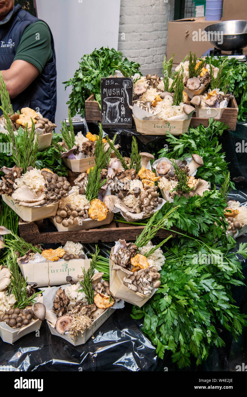 Mushroom display on market traders stall Stock Photo - Alamy