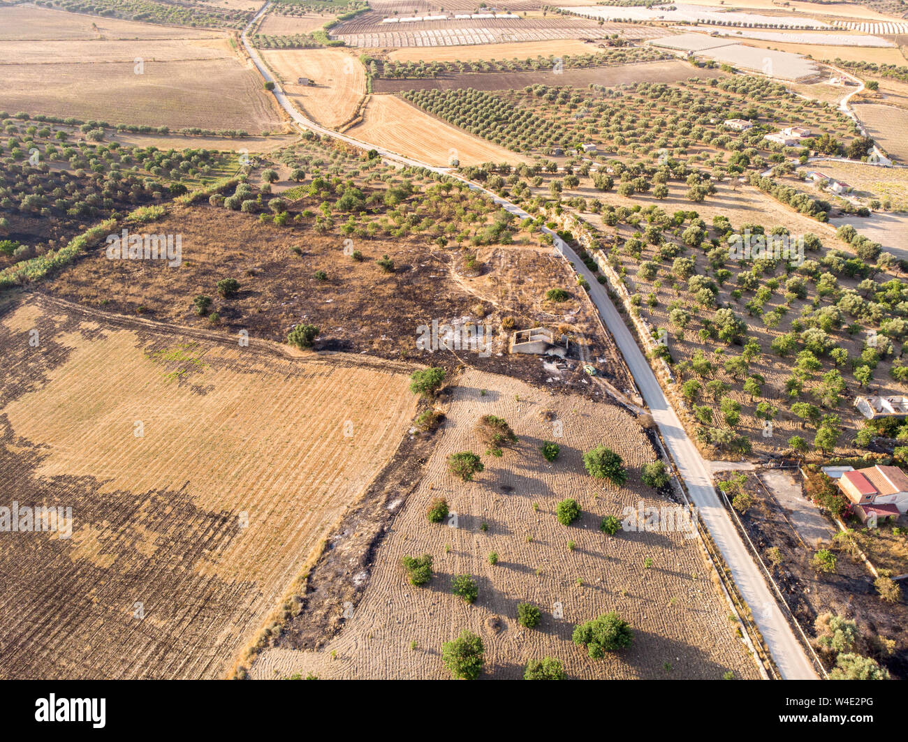 Aerial view of a rural field in the morning The shot is taken in a ...