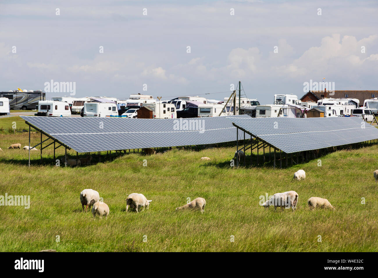Solar panel field sheep uk hi-res stock photography and images - Alamy