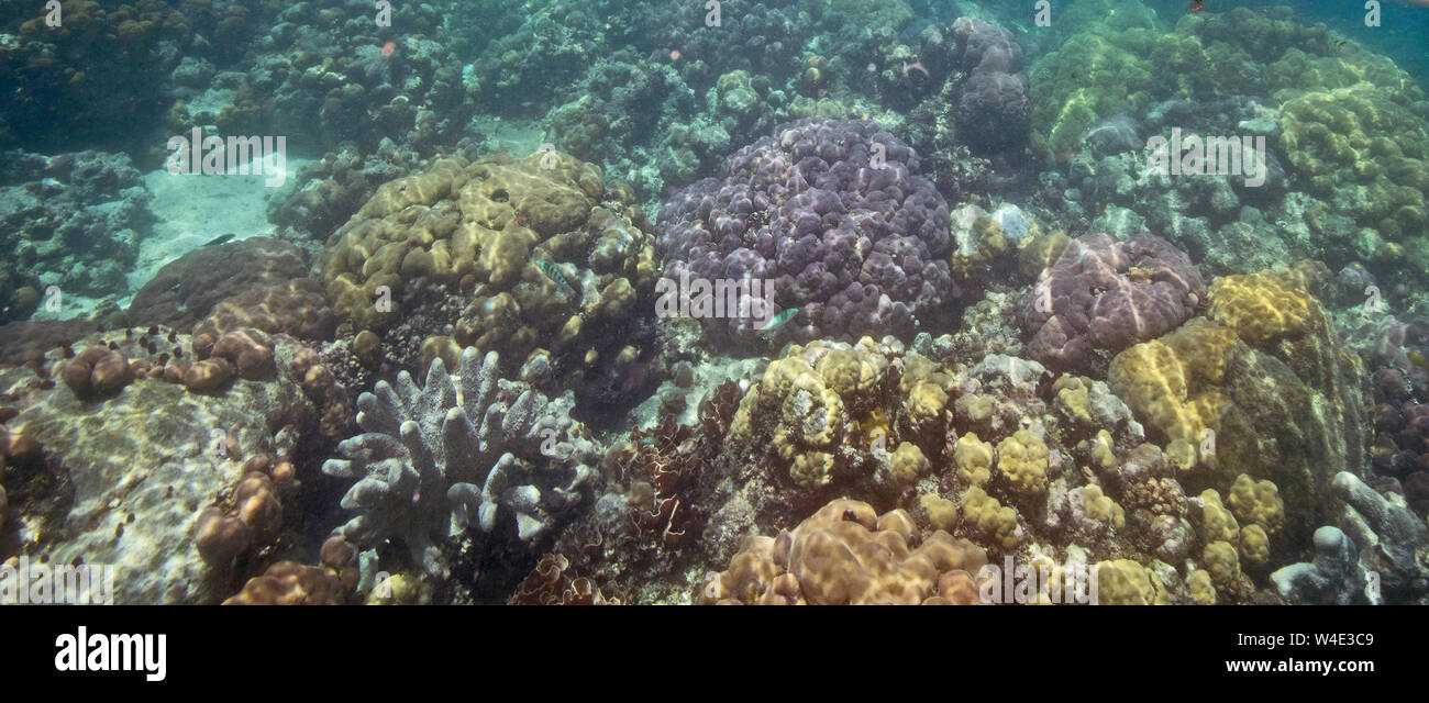 New georgia solomons hi-res stock photography and images - Alamy