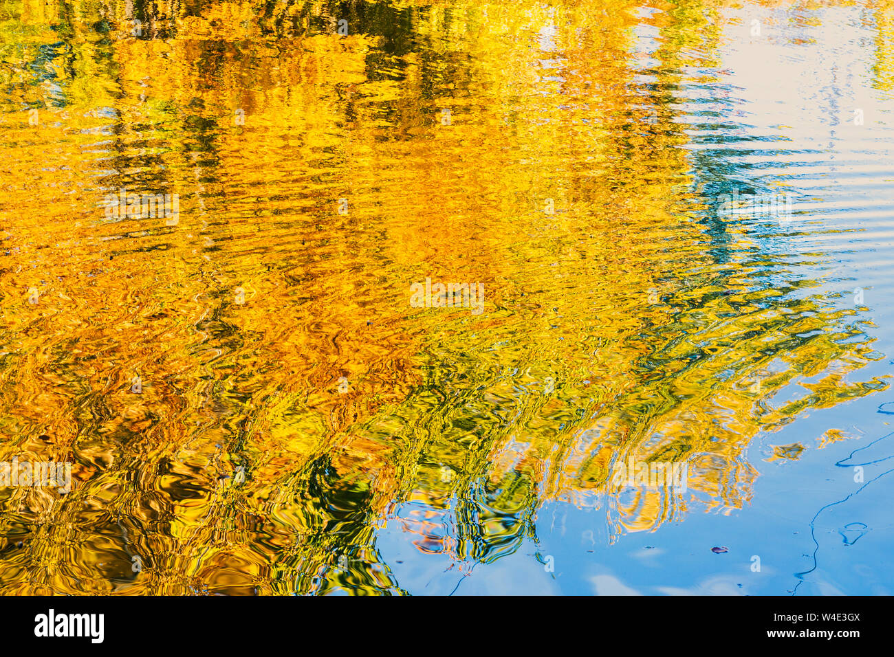 abstract photo of autumn trees reflected in water sunligth Stock Photo ...