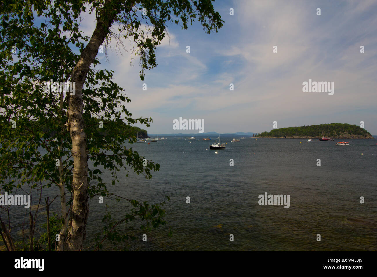 Shore path maine hi-res stock photography and images - Alamy