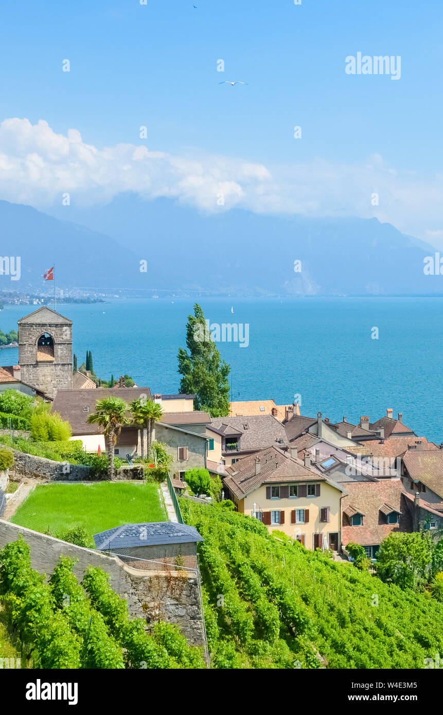 Beautiful St. Saphorin village in Lavaux wine region, Switzerland ...