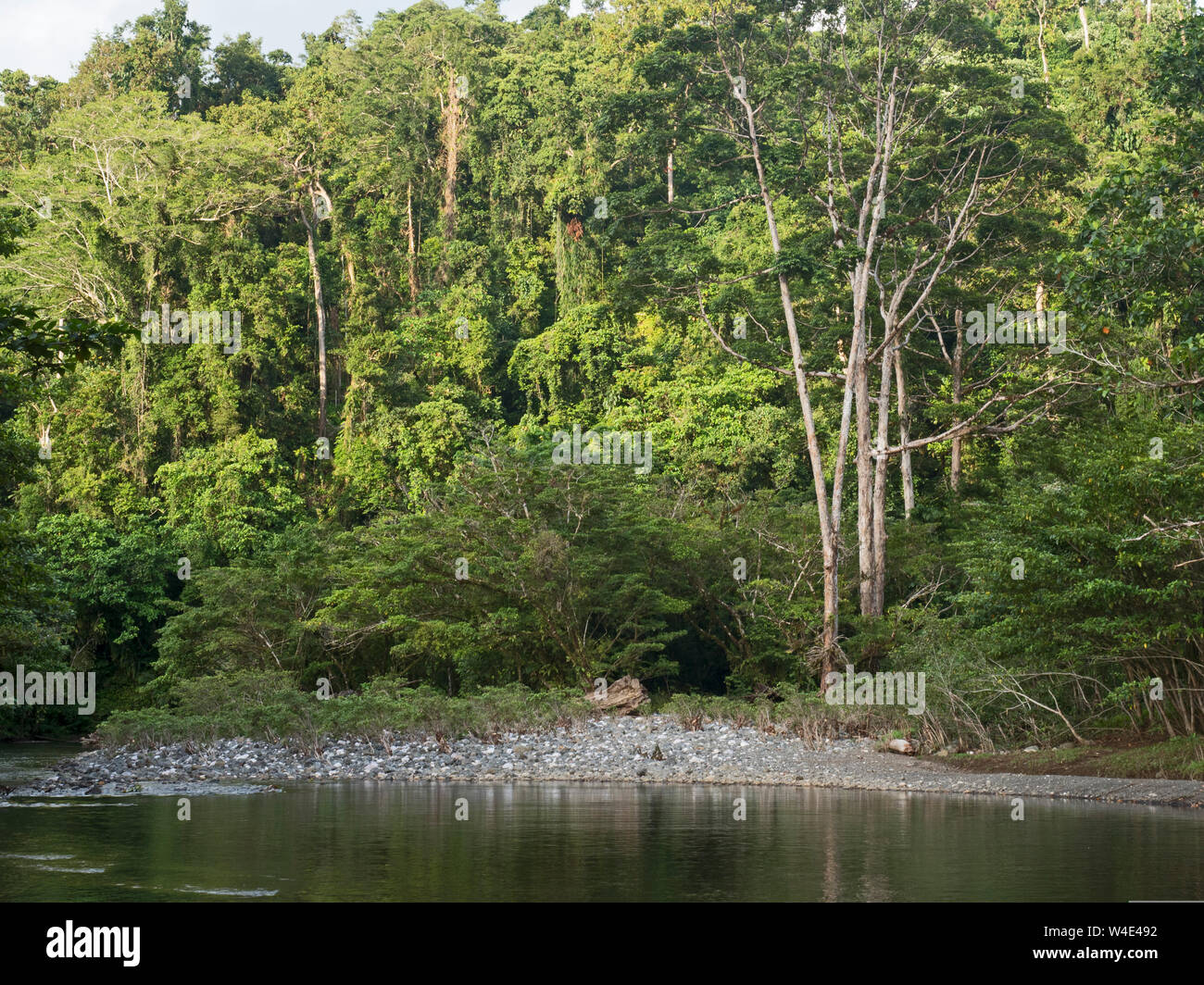 Ravo River and forest Nara on Makira (San Cristobal) Solomon Islands ...