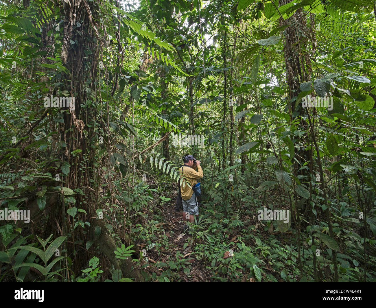 Author Mark Cocker with local guide Joseph birding in tropical forest ...