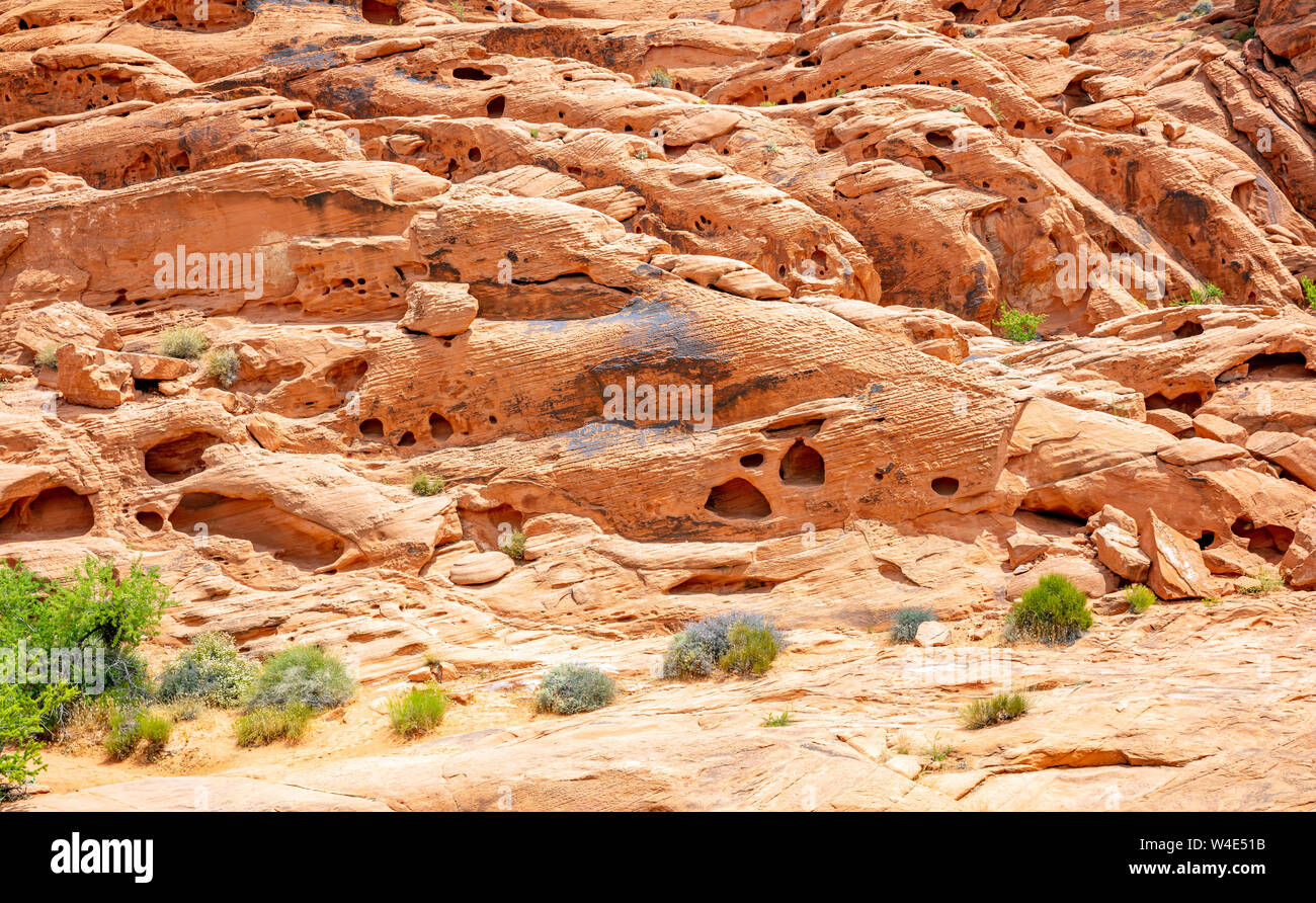 Valley of fire state park, Nevada USA. Red sandstone rock formations ...