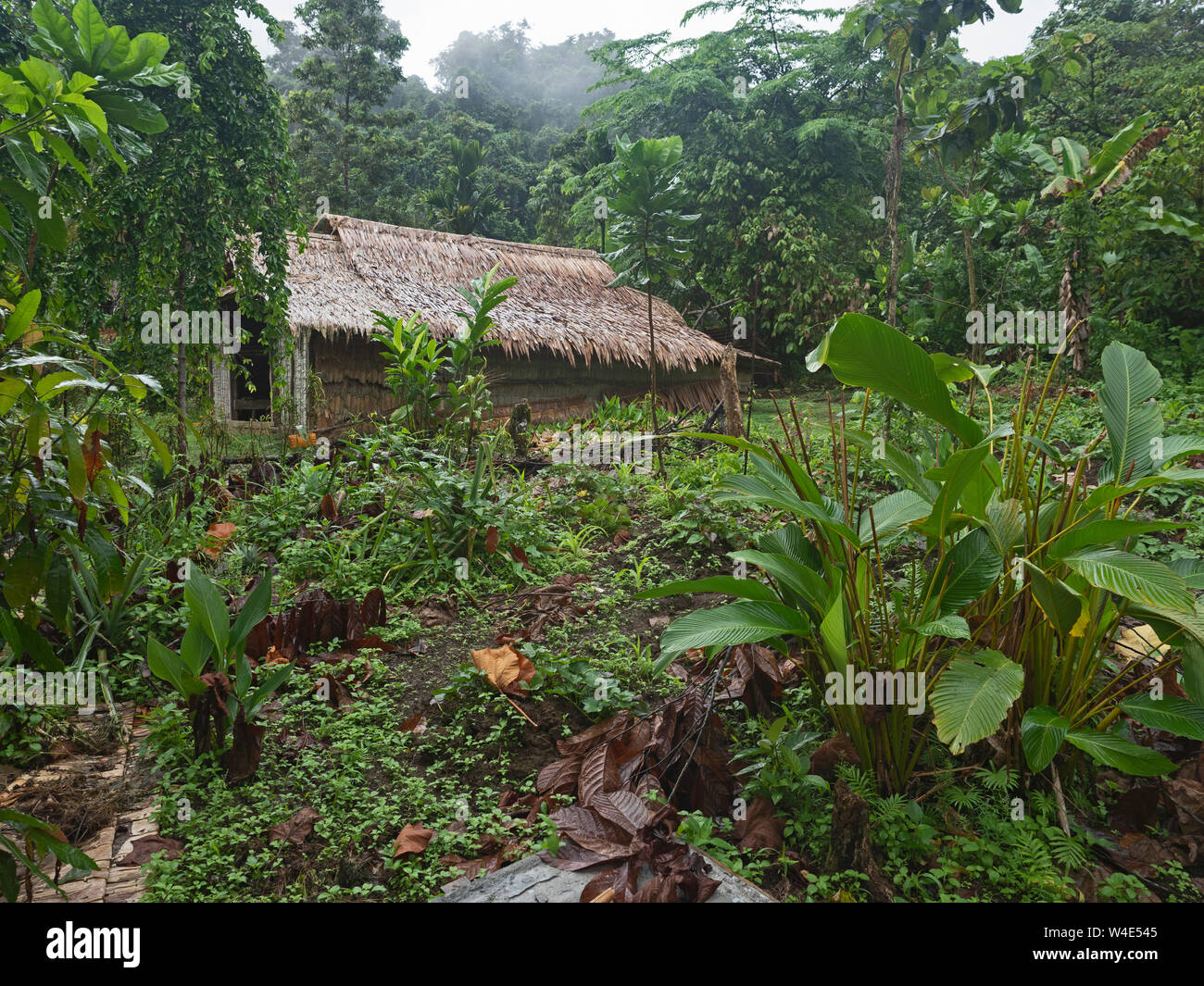 Kumara kumara hi-res stock photography and images - Alamy