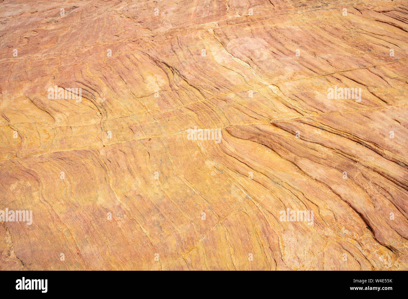 Valley of fire state park, Nevada USA. Red sandstone rock background ...