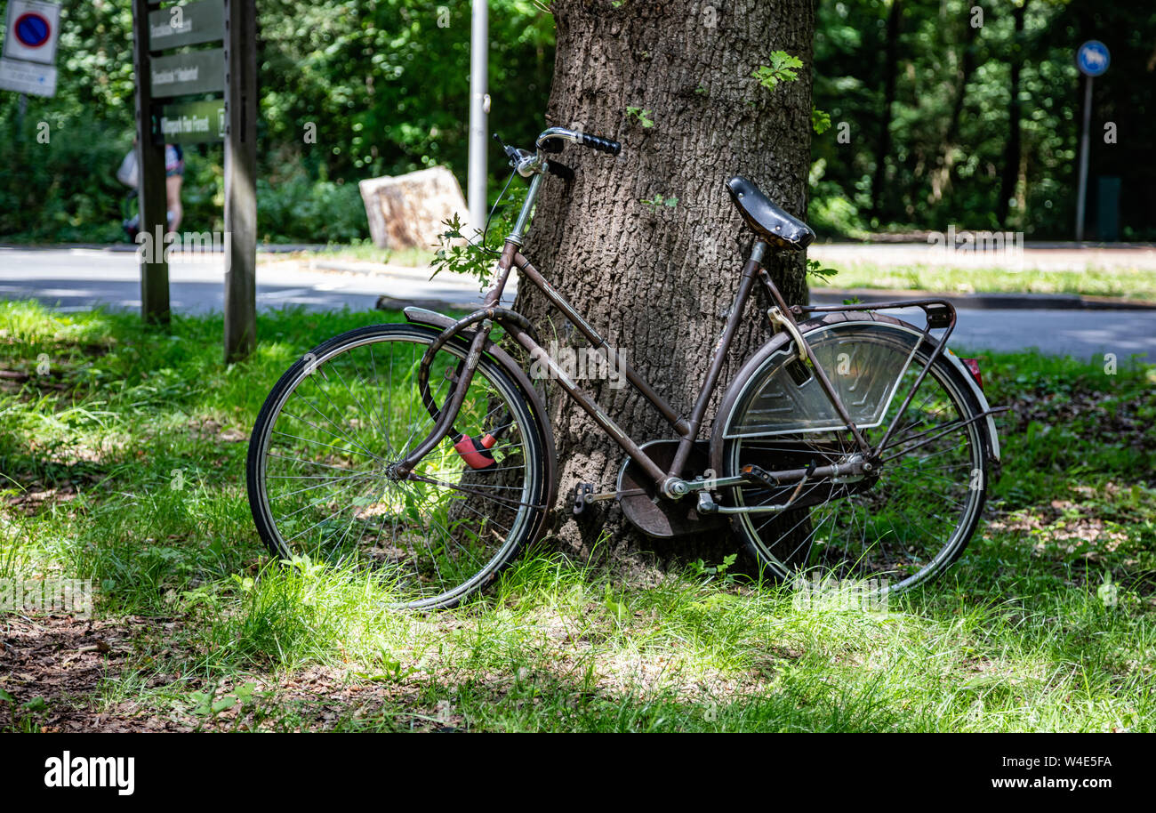 Vintage cycle day hi-res stock photography and images - Alamy