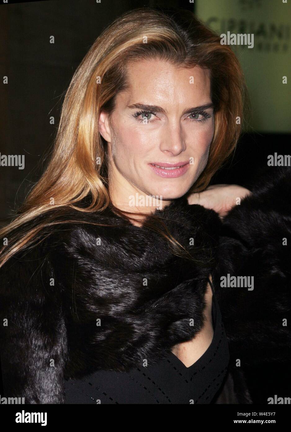 With brooke shields hi-res stock photography and images - Alamy