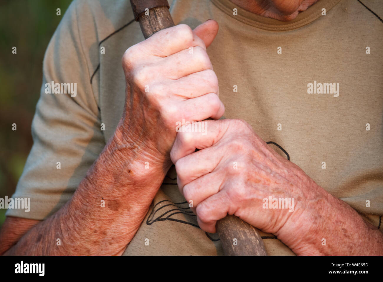 Gnarled stick hi-res stock photography and images - Alamy