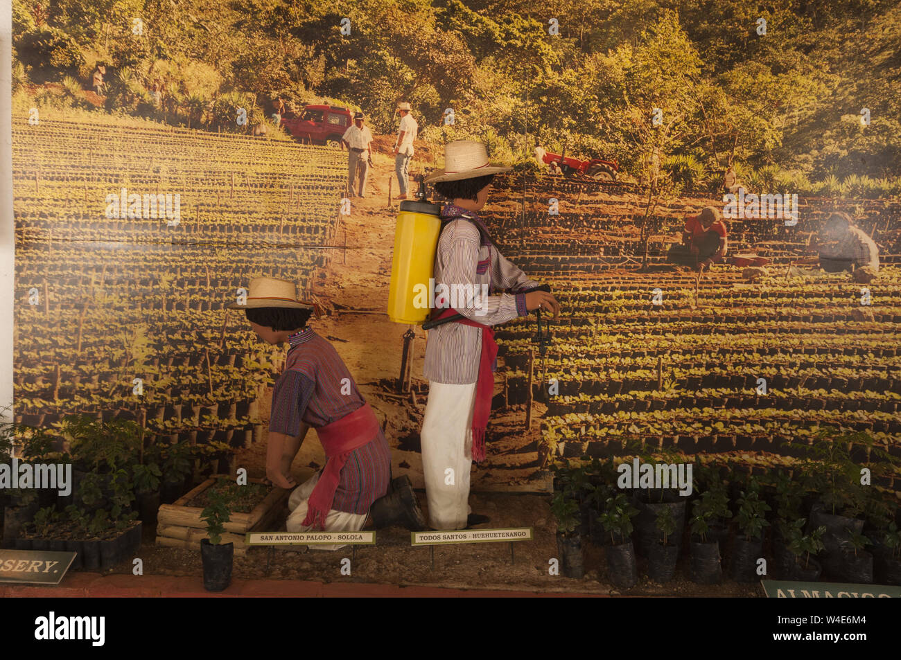 Jocotenango Antigua Guatemala at Ellie Gillespie blog