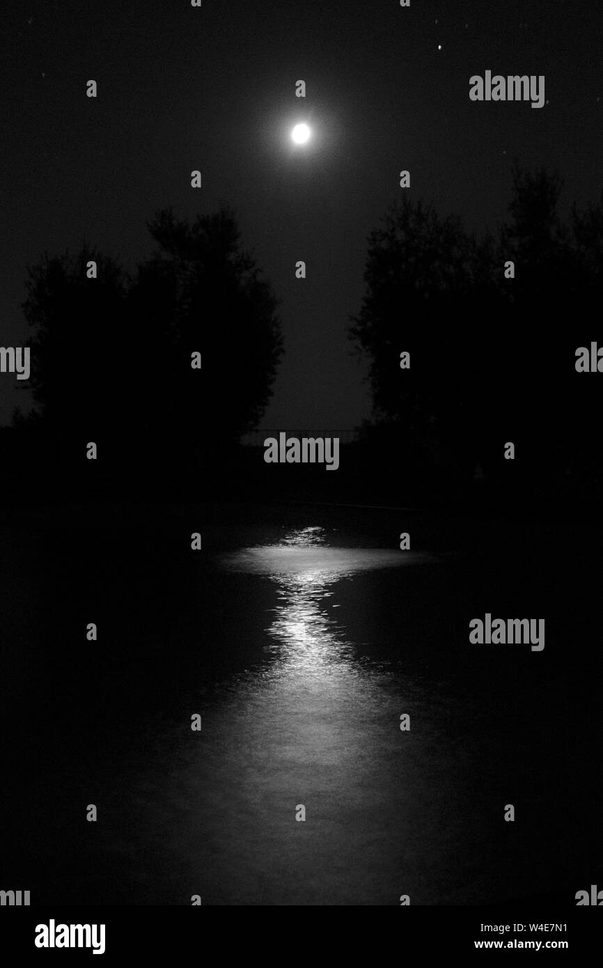 Stars trees night Black and White Stock Photos & Images - Alamy