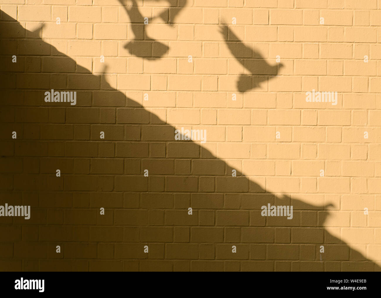 Pigeon shadows on the yellow wall below the falt Stock Photo - Alamy