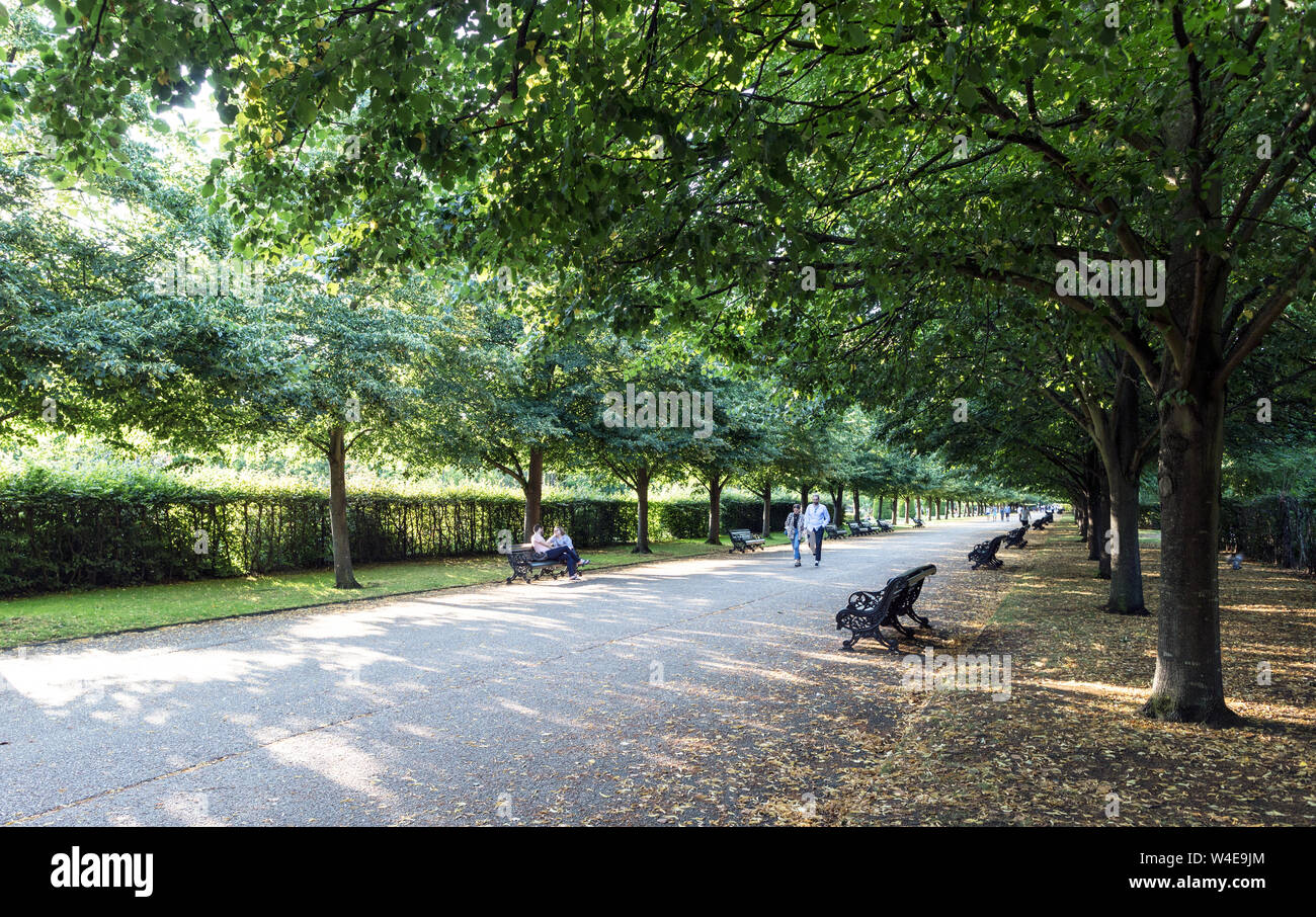 The English Garden Regents Park London UK Stock Photo - Alamy