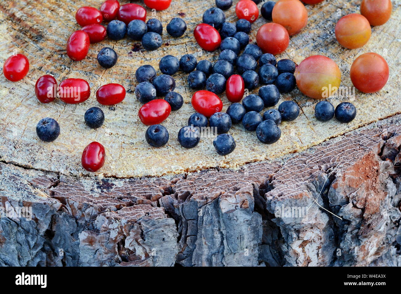Ripe sweet different berries with leaves on the wooden stump. Concept ...