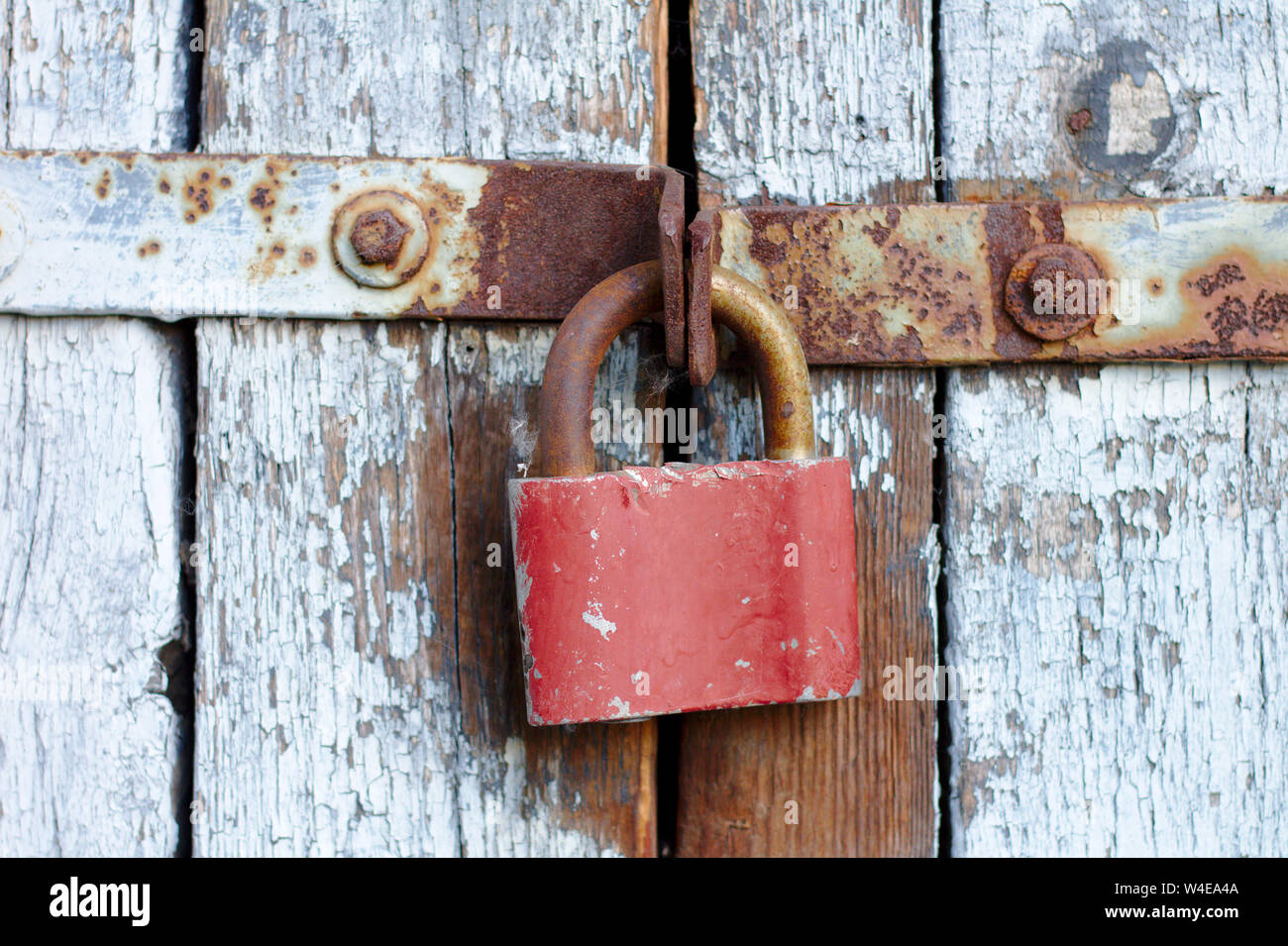 Old brown padlock on a gray door with wooden planks of cracked paint ...