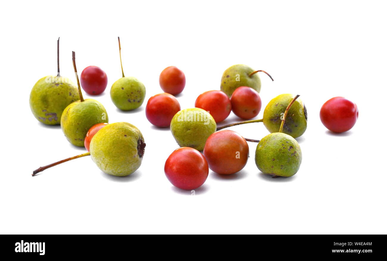 Mixed fruit Pears and wild plums on white background Stock Photo - Alamy