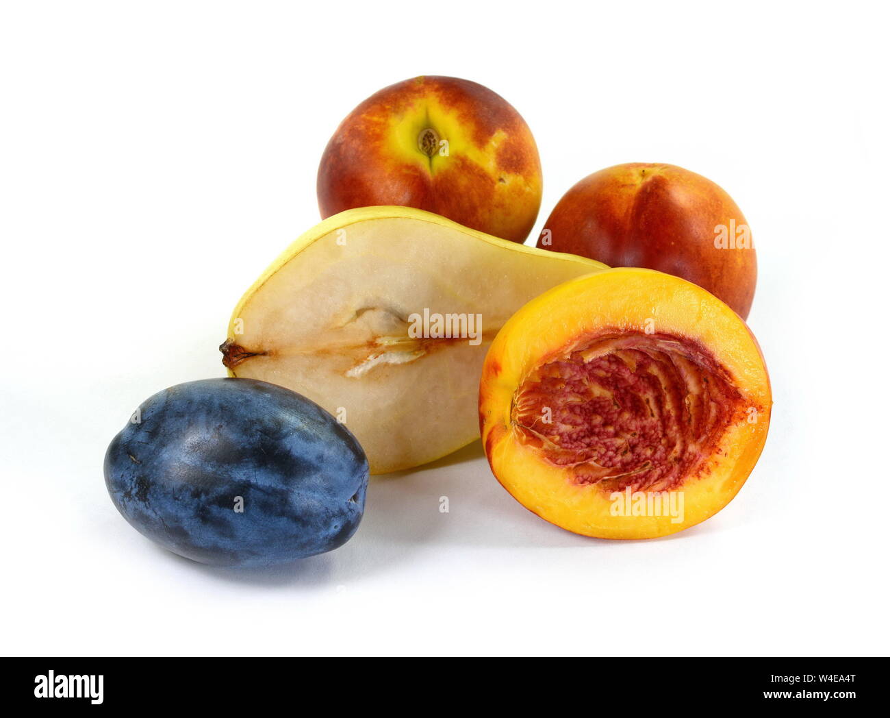 Mixed fruit cut into half isolated on white background Stock Photo - Alamy