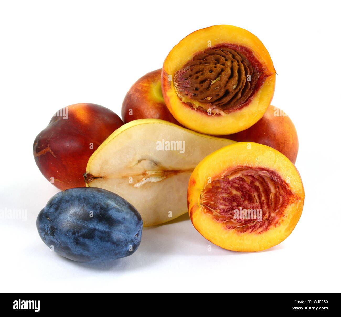 Mixed fruit cut into half isolated on white background Stock Photo - Alamy
