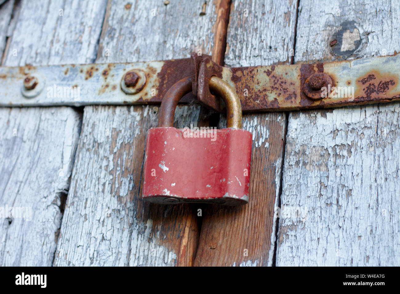 Old brown padlock on a gray door with wooden planks of cracked paint ...