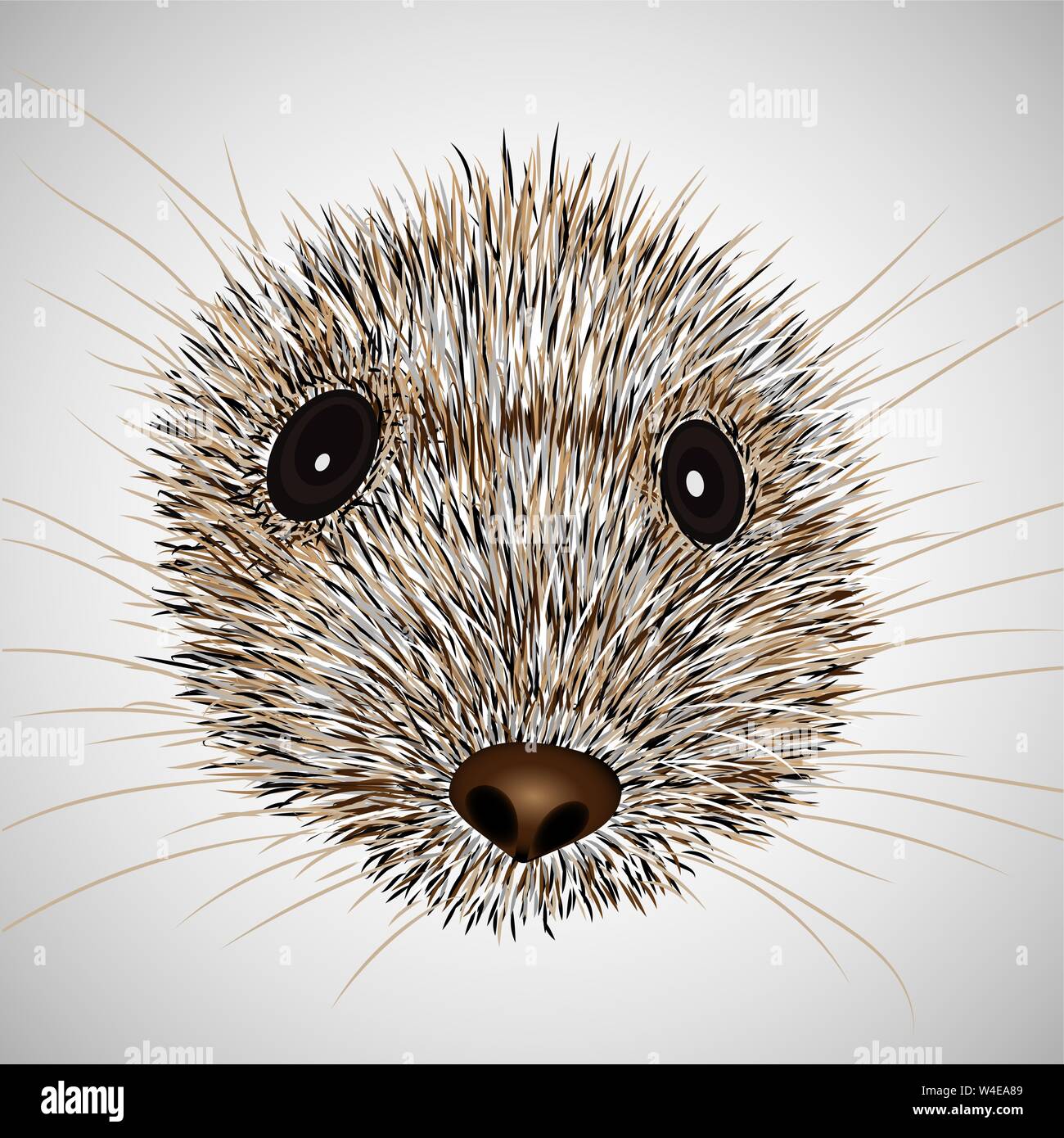 Mouse wild animal vector illustration. Mouse wild animal icon, vector ... Mouse wild animal vector illustration. Mouse wild animal icon, vector ...