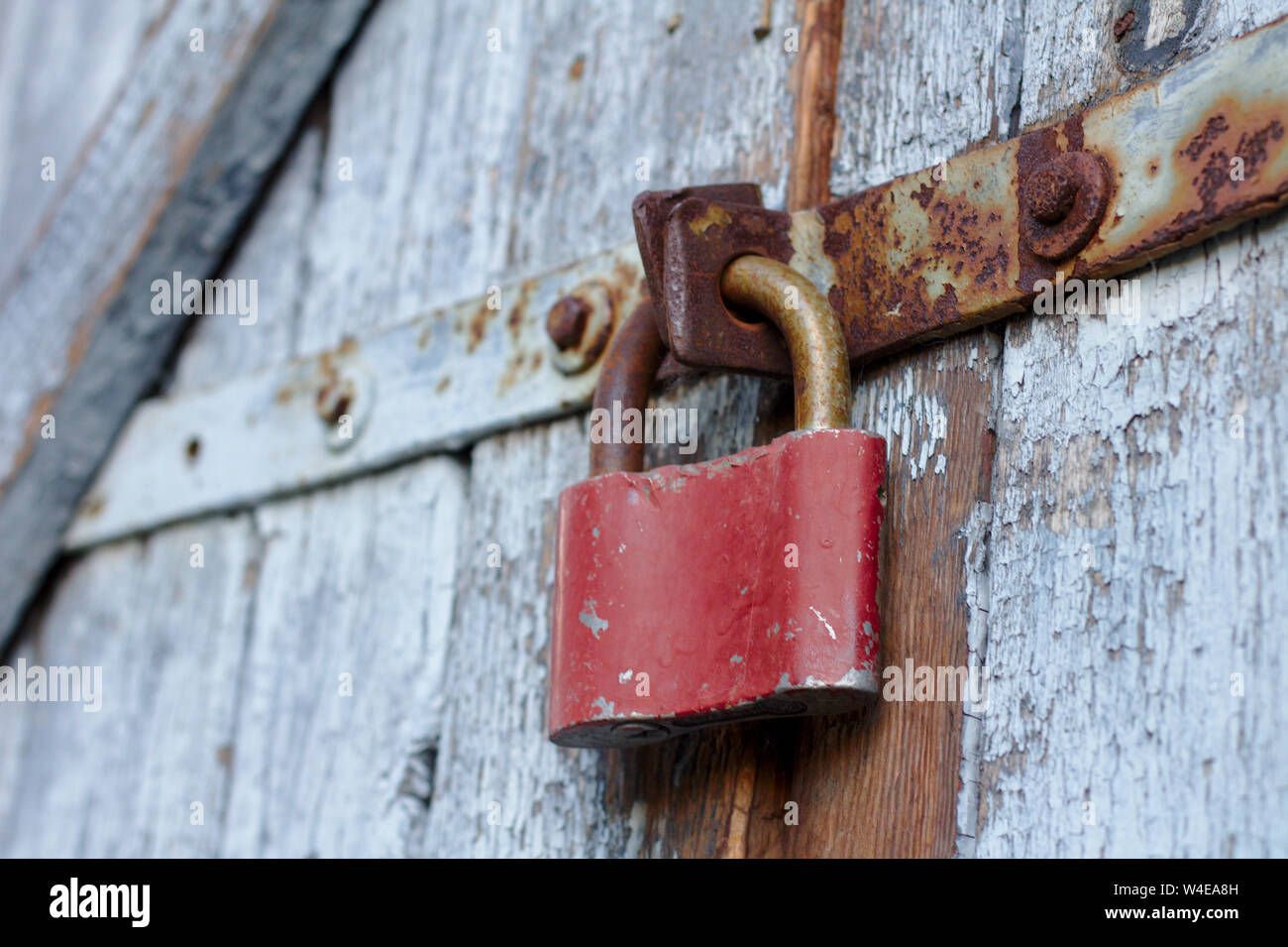 Old brown padlock on a gray door with wooden planks of cracked paint ...
