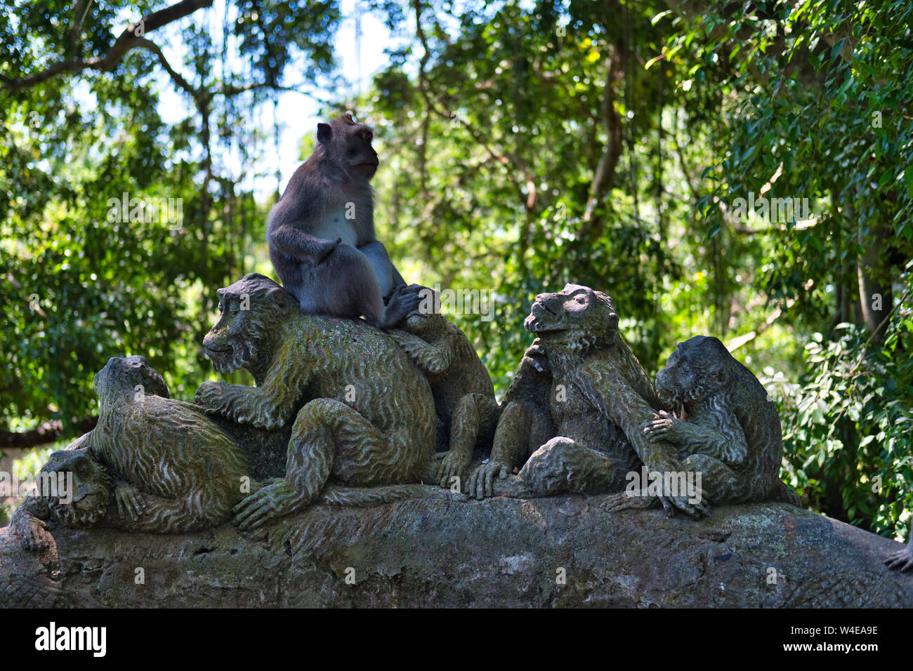 Statues in monkey forest ubud hi-res stock photography and images - Alamy