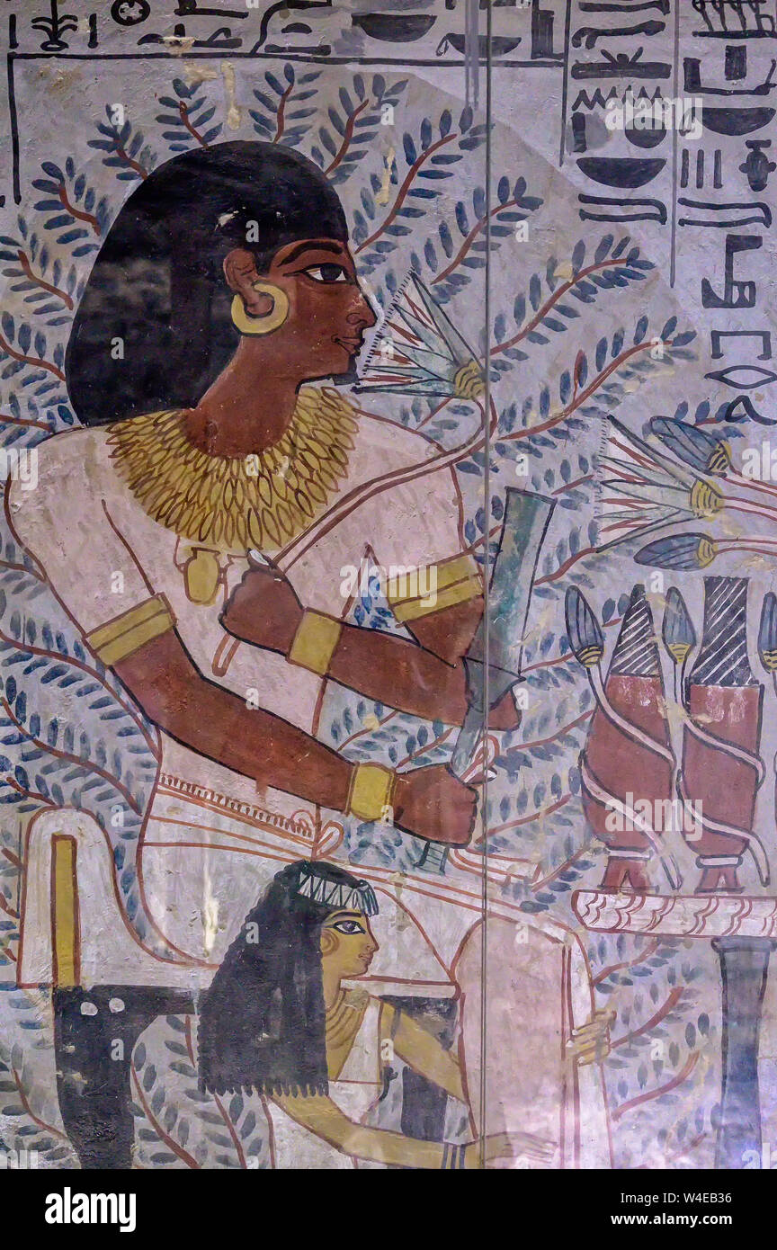 Ished tree hi-res stock photography and images - Alamy