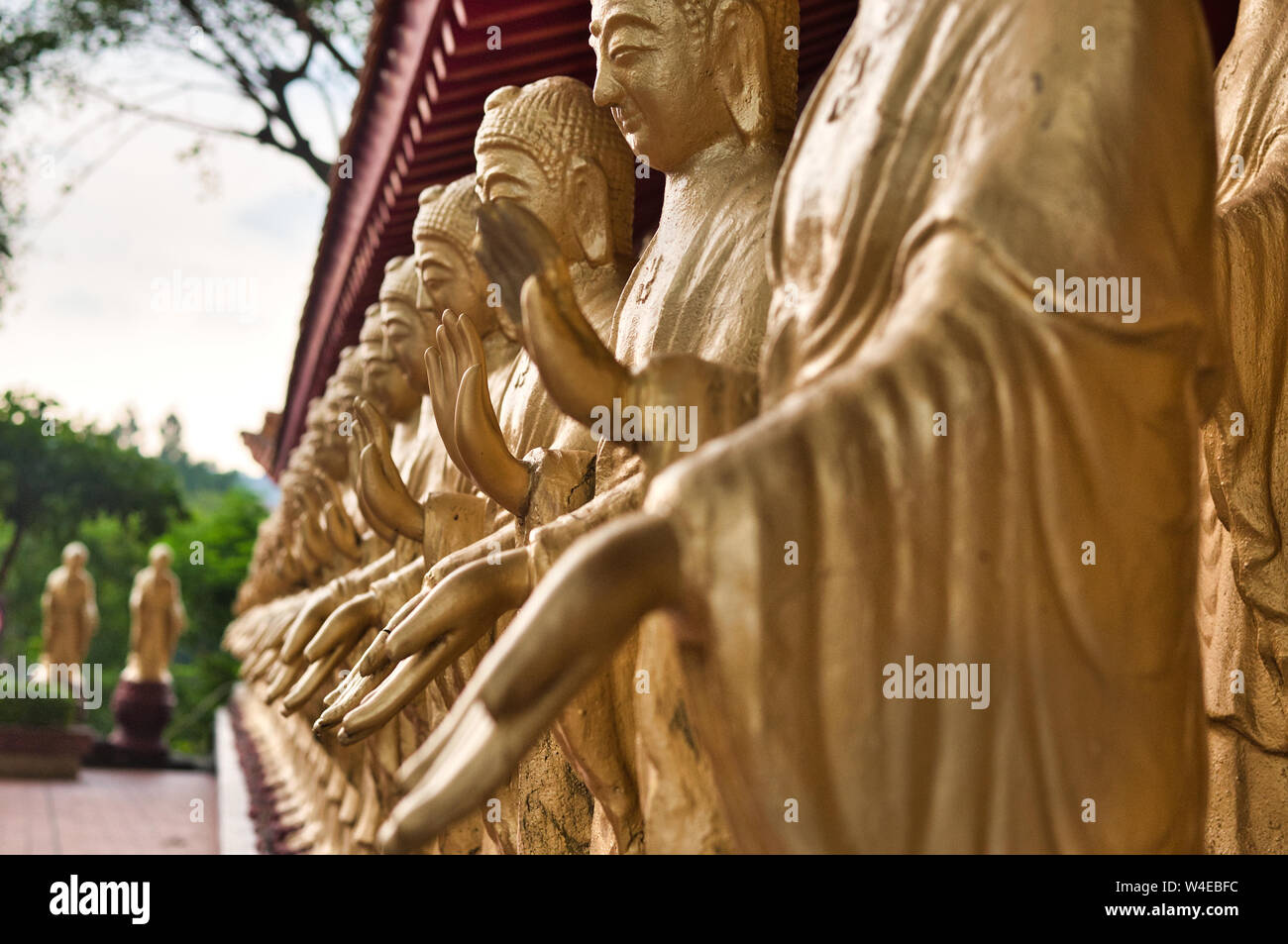 At the famous temple in Taiwan, a row of buddha statue forming a unique ...