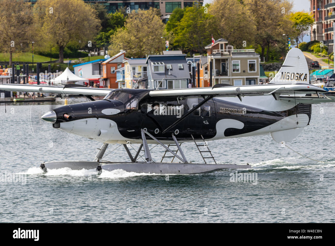 Kenmore Air seaplane taxiing to Victoria Harbour Airport after landing ...