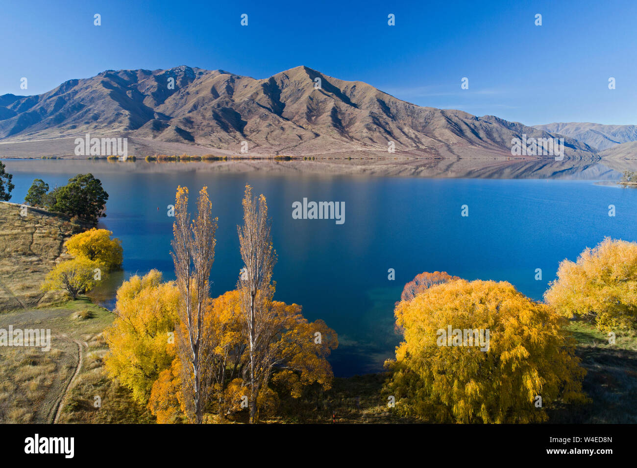Lake Benmore, and autumn colours beside Alps 2 Ocean Cycle Trail ...