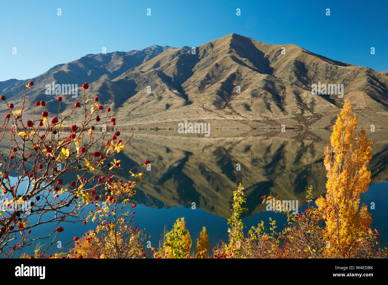 Autumn, Lake Benmore, and Benmore Range, Waitaki Valley, North Otago ...