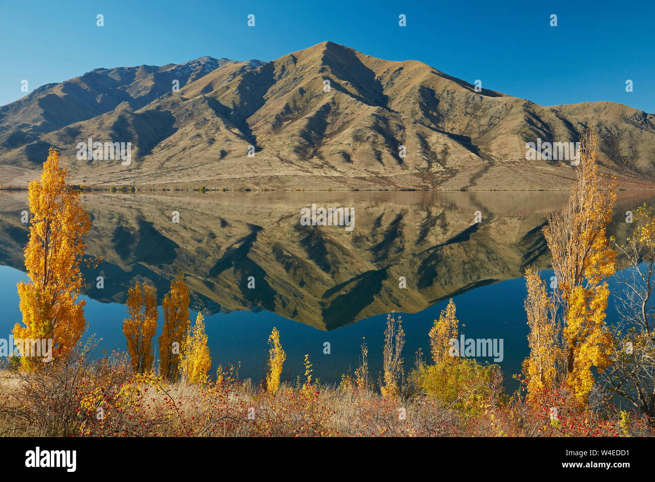 Alps 2 Ocean cycle trail in autumn, Lake Benmore, and Benmore Range ...